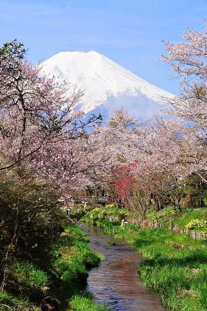 Paisajes y lugares hermosos: PAISAJES DE JAPON