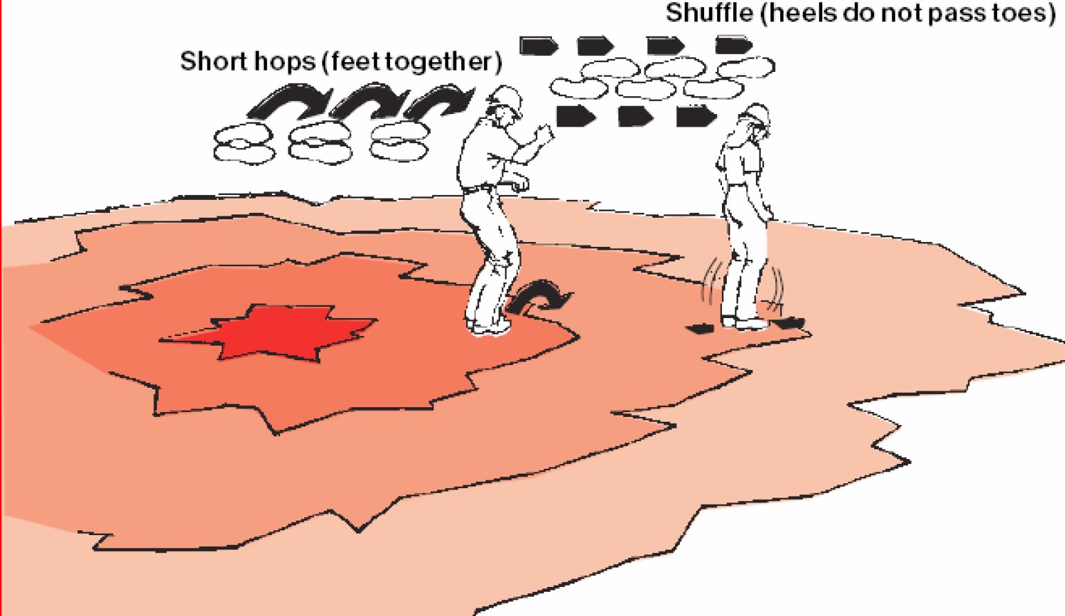 what to do when you find a Downed Power Lines - ELECTRICAL ENGINEERING