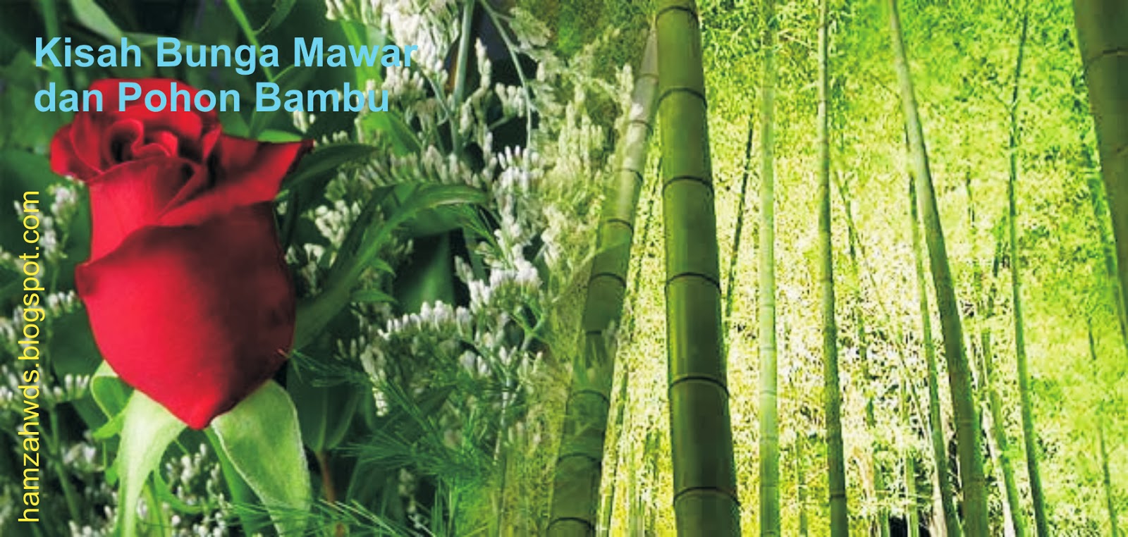 Kisah Bunga Mawar dan Pohon Bambu Penuh Pelajaran Hidup - Blog Kang Hamzah