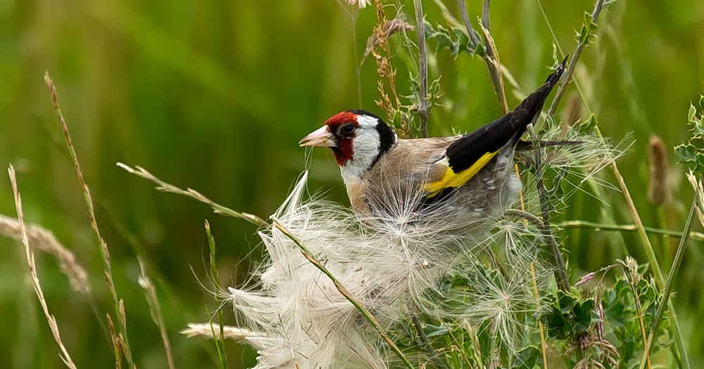 What I Love: Wie man sich bettet, so liegt man....