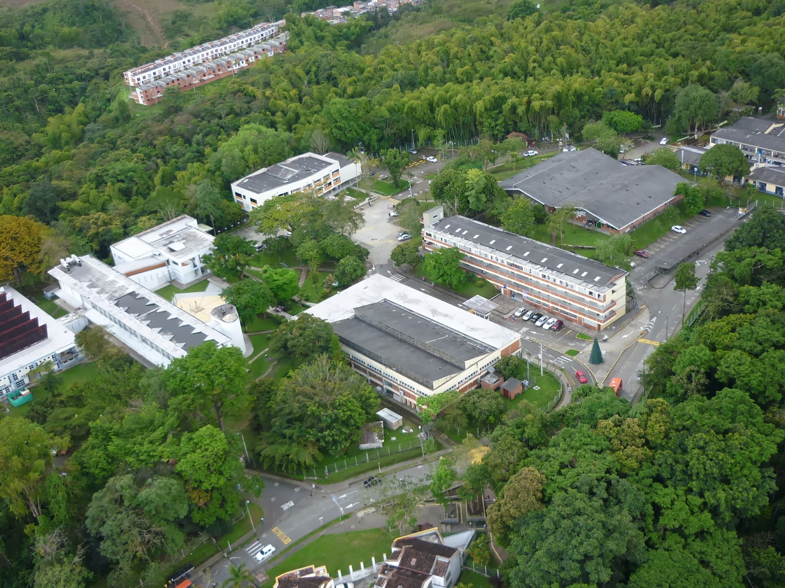 Vecinos Pereira: Naturaleza / Conservación: Bosques de la UTP, un ...