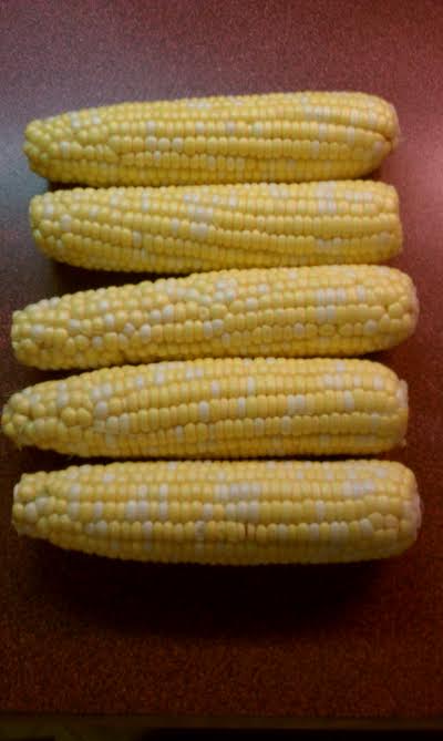 Hillbilly Mansion: Mrs. Hillbilly Mom Shucked Corn, And She Don't Care