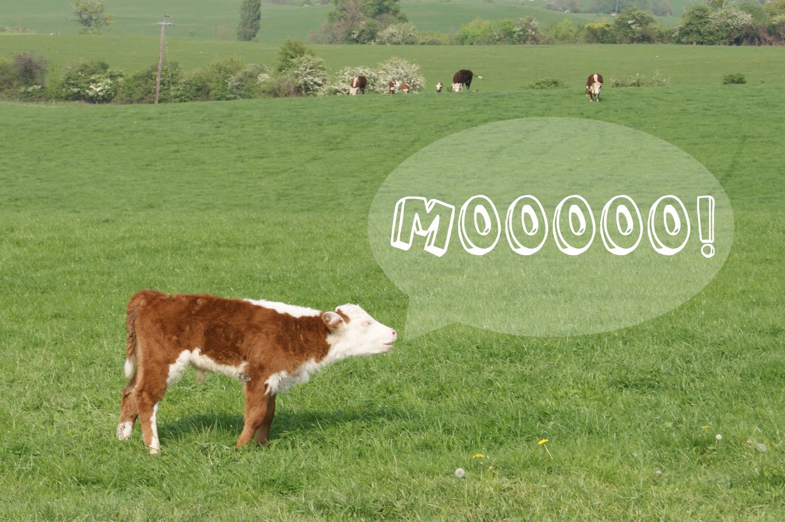 Lighten up! - Frills 'n' Spills