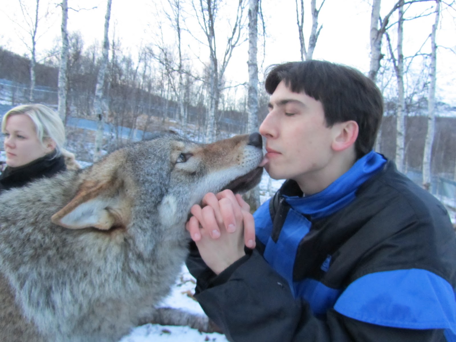 Claartje & Douglas: Hugging wolves in the Polar Zoo