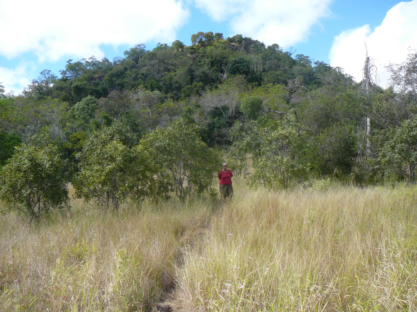 Andrew and Nikki around Oz: Mount Scoria near Biloela