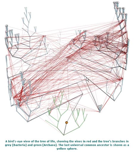 Treevolution: Biology through the evolutionary lens: Article collection ...
