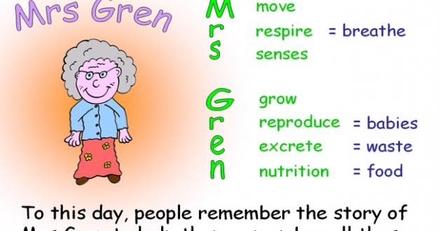 Biology and Geology: Mrs. Gren