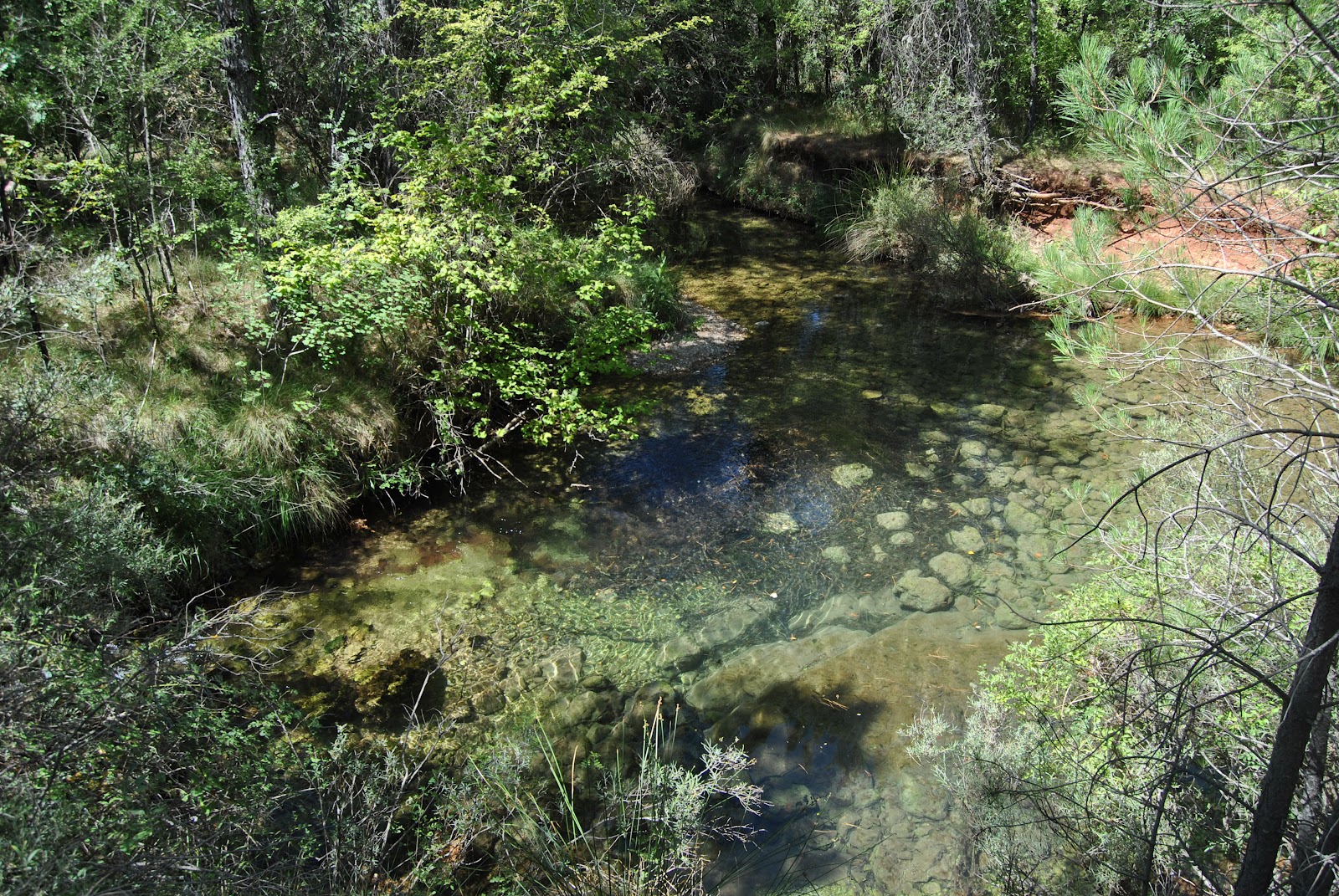 Excursiones por "el Mundo" ..... Riópar y la Sierra del Segura: Por el ...