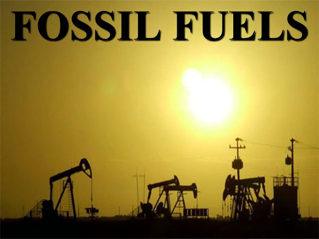 What are Fossil Fuels | Types of Fuel - Chemical Engineering
