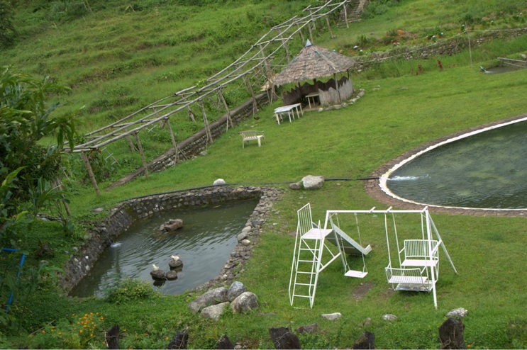 A quick stop-over at our friends' lovely hide-away with our balikbayan ...