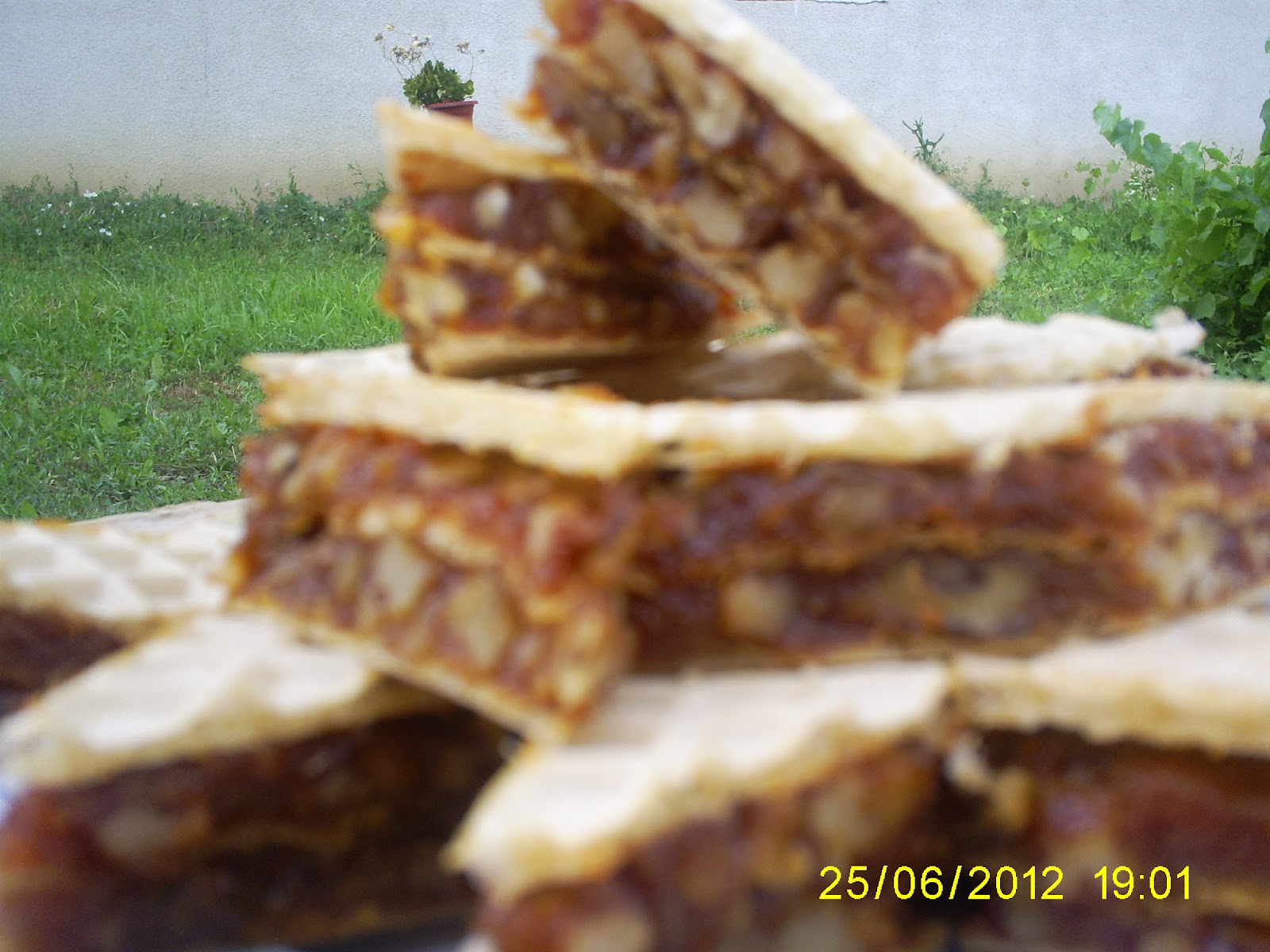 Lavinia Rosu: Griliaj