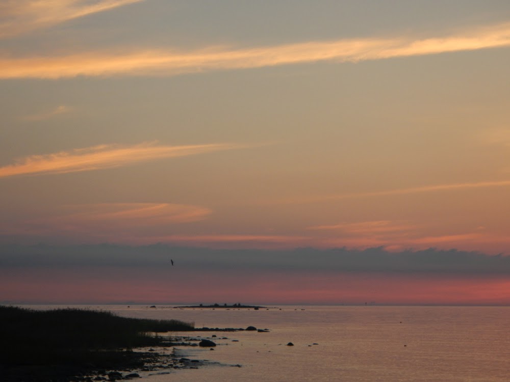 KRAASELISTA KRUNNEILLE: Hoikka-Hiue