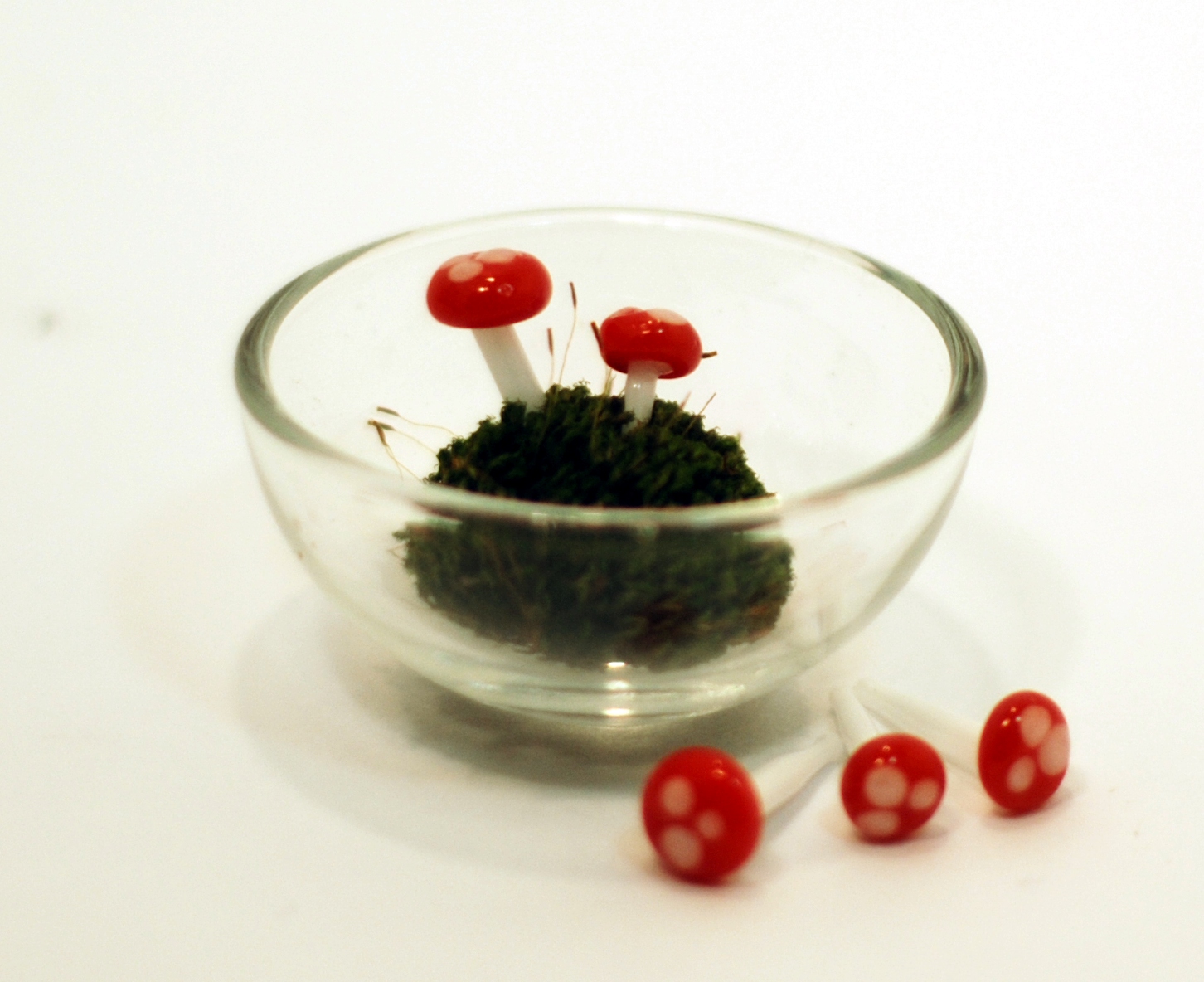 the Garden of Leah: Glass Fungi