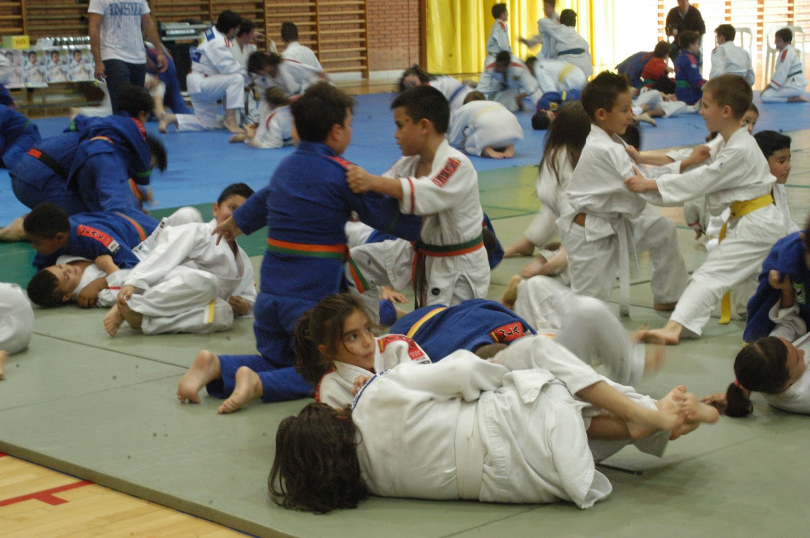 yudiario: Nuevo éxito con nuestro Día Mundial del Yudo