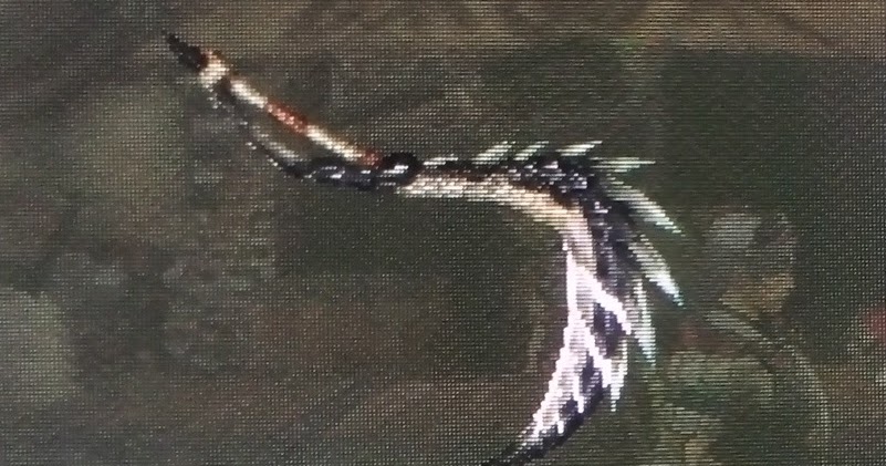 Long Sword: Alatreon Series - MHP3rd Weapon Tree