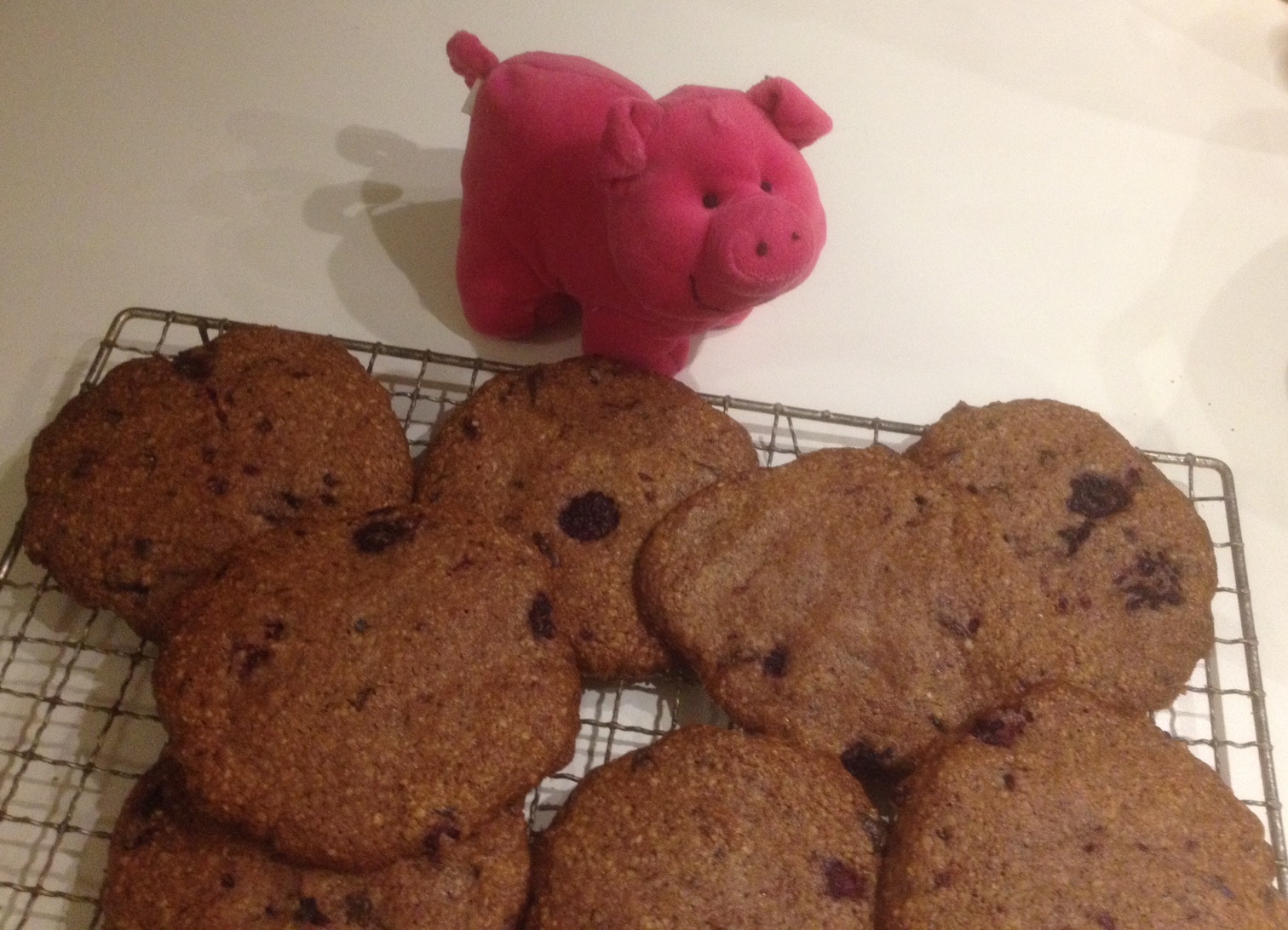 FAT CAT'S COOKBOOK: Letter to Fat Cat from Jazzy Pink Pig about Nutty ...