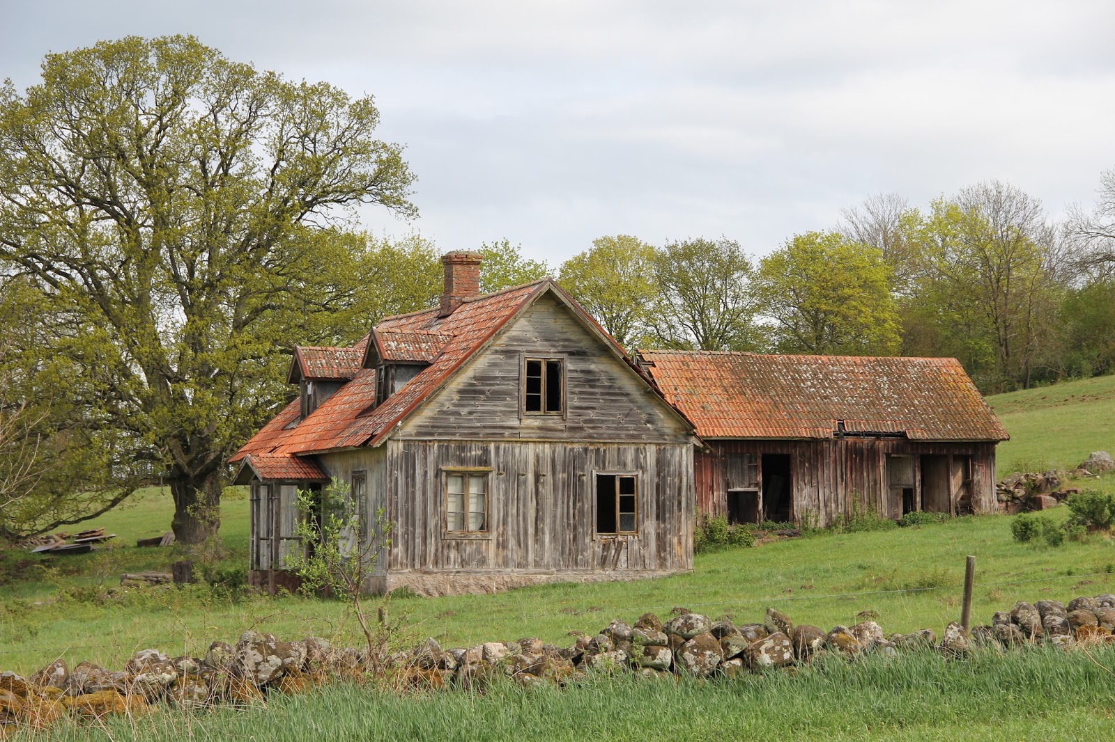 Kiss a Bulldog today! or else: Vackra gamla hus