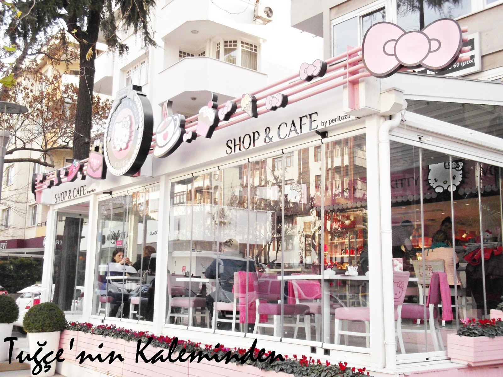 TUĞÇE NİN KALEMİNDEN ☆ !!!: Ocak 2014