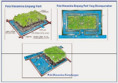 Perikanan Kota Mataram: Sistem Wanamina (Sylvofishery) Sebagai ...