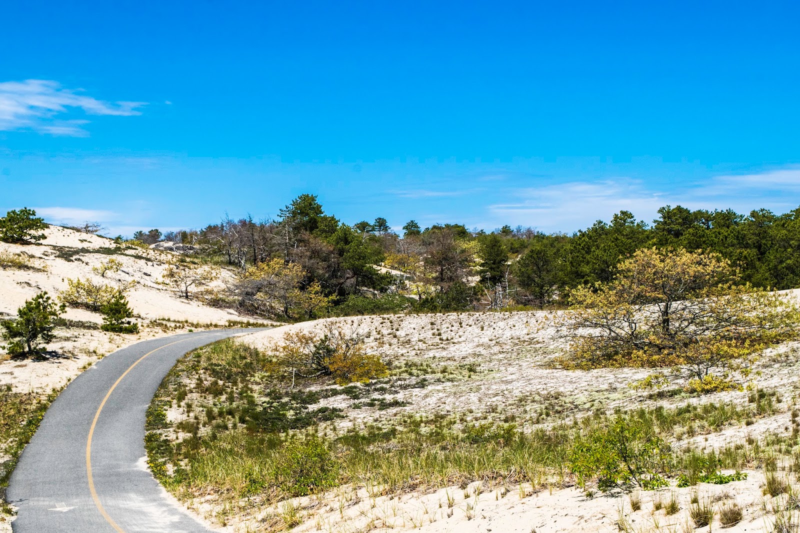 Diana’s Little Corner in the Nutmeg State: May 2017