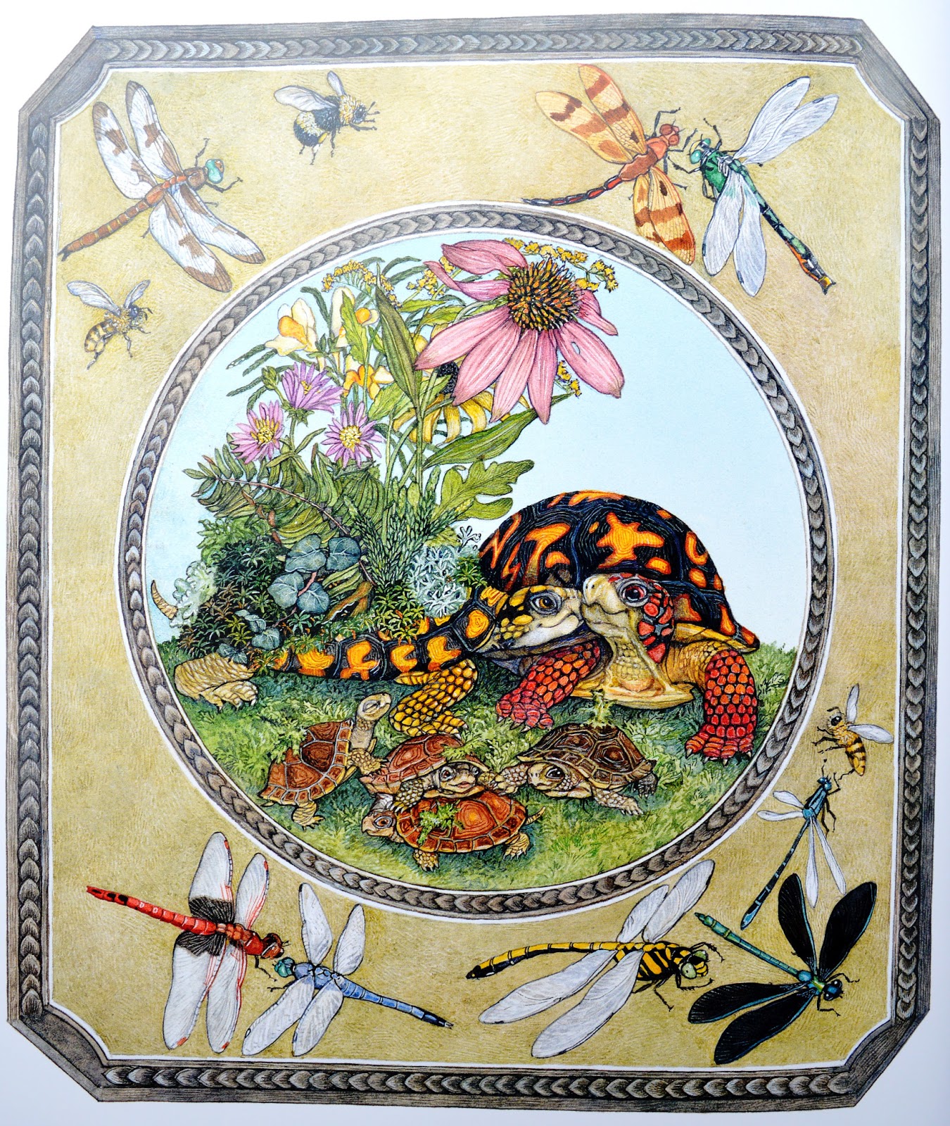 TEXTILE TROLLEY: A book review: Mossy by Jan Brett