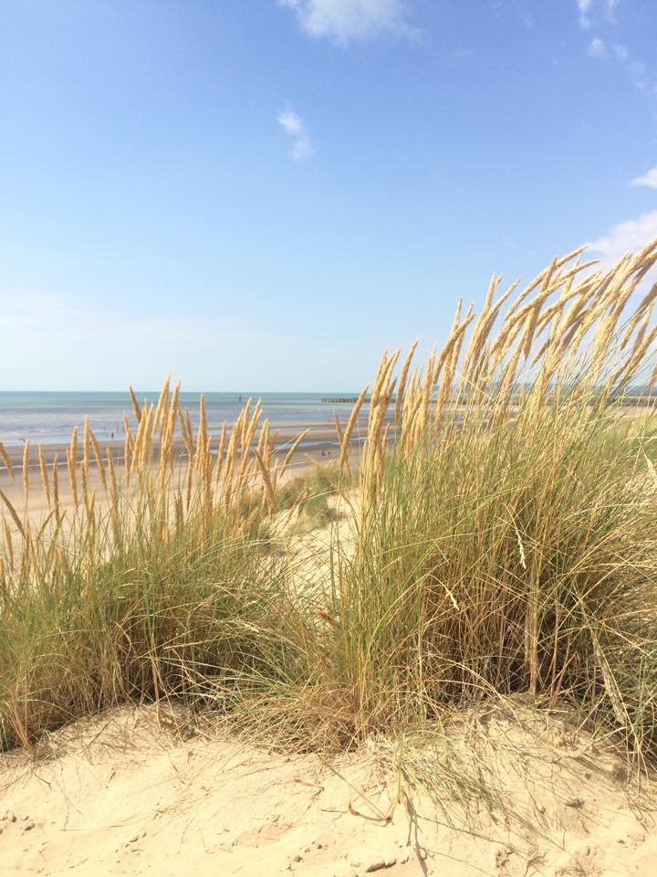 Travel - Rye & Camber Sands, Sussex - Roses and Rolltops