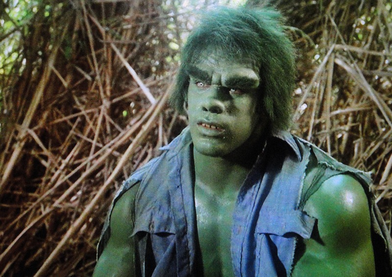 MUSINGS OF A SCI-FI FANATIC: The Incredible Hulk S1 Ep2: Death In The ...