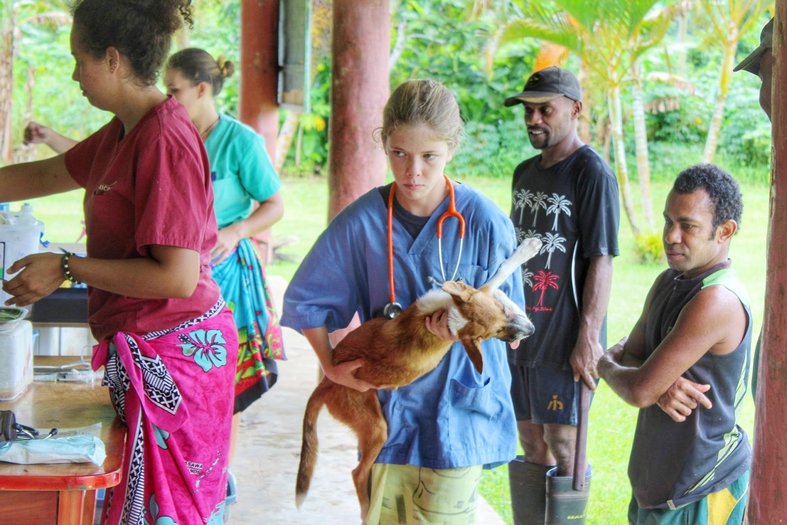 Sailing with Terrapin: Become a friend of Animals Fiji!