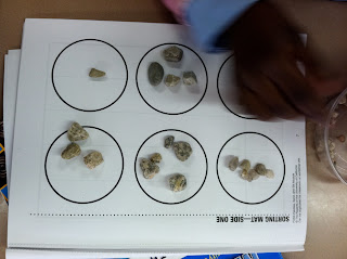 Class 2M9: Sorting Rocks