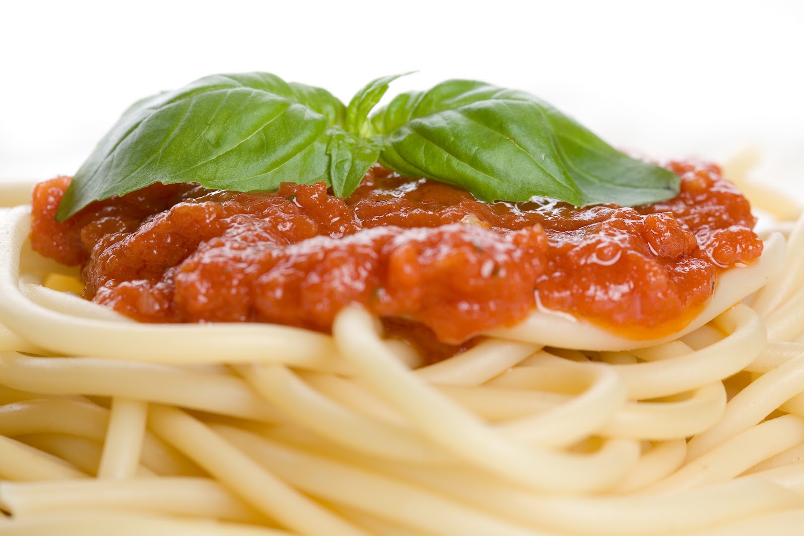 The Modern Kitchen Gardener