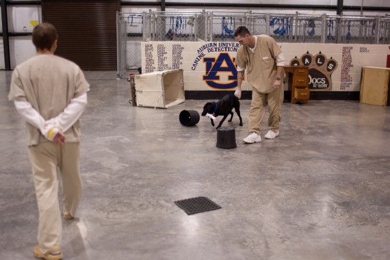 PRISON DOG PROGRAMS ~ BRIDGES and PATHWAYS of COURAGE: PRISONERS TRAIN ...