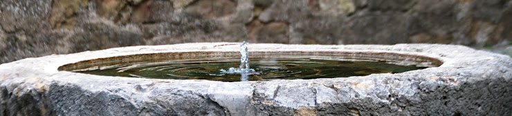 Mi relación con el agua: La Pluma de Agua