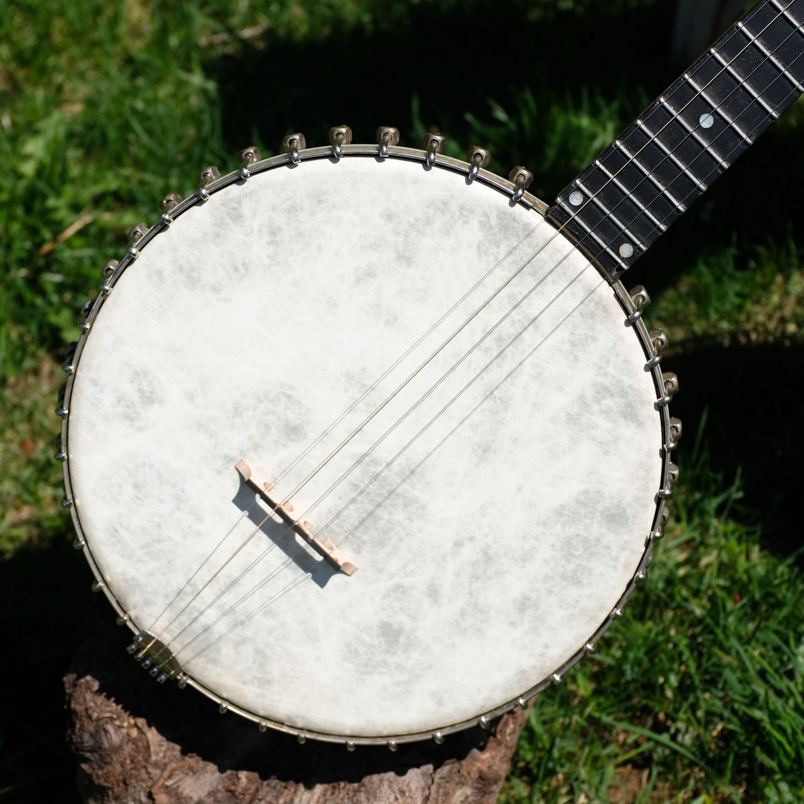 1890s/1960s Homemade Longneck 5-String Banjo