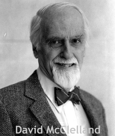 Teori Motivasi Prestasi David McClelland | Izzy Portal
