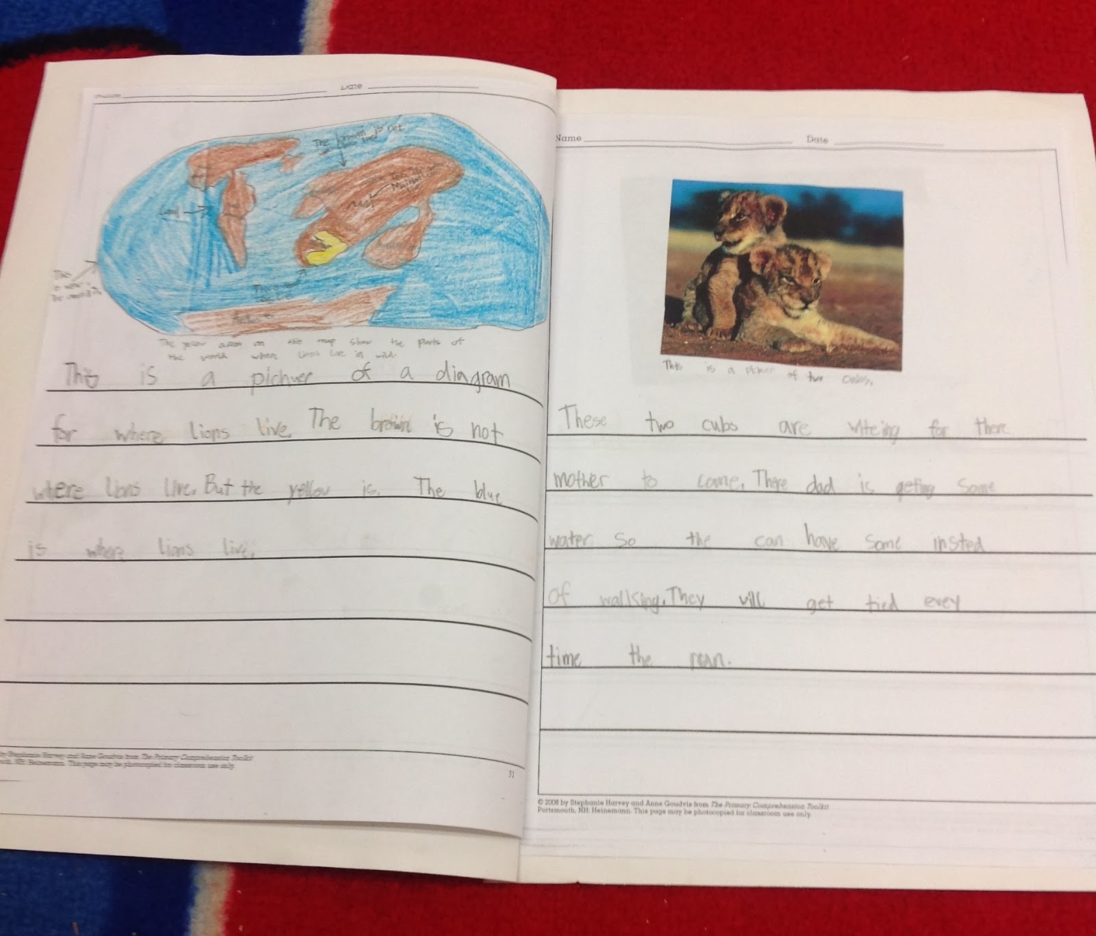 Mrs. MeGown's Second Grade Safari: All About Nonfiction Features!!!
