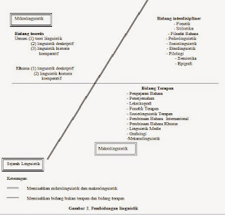 MEMAHAMI PERBEDAAN ANTARA LINGUISTIK TEORETIS DAN LINGUISTIK TERAPAN