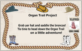 Mrs. Cicione's Science Site: Organ Trail Project