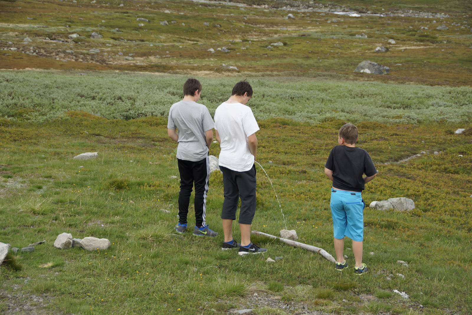 Livet på Møkster: #§#%$&%?*??!!!##§##$$*???!!! fortsetter...