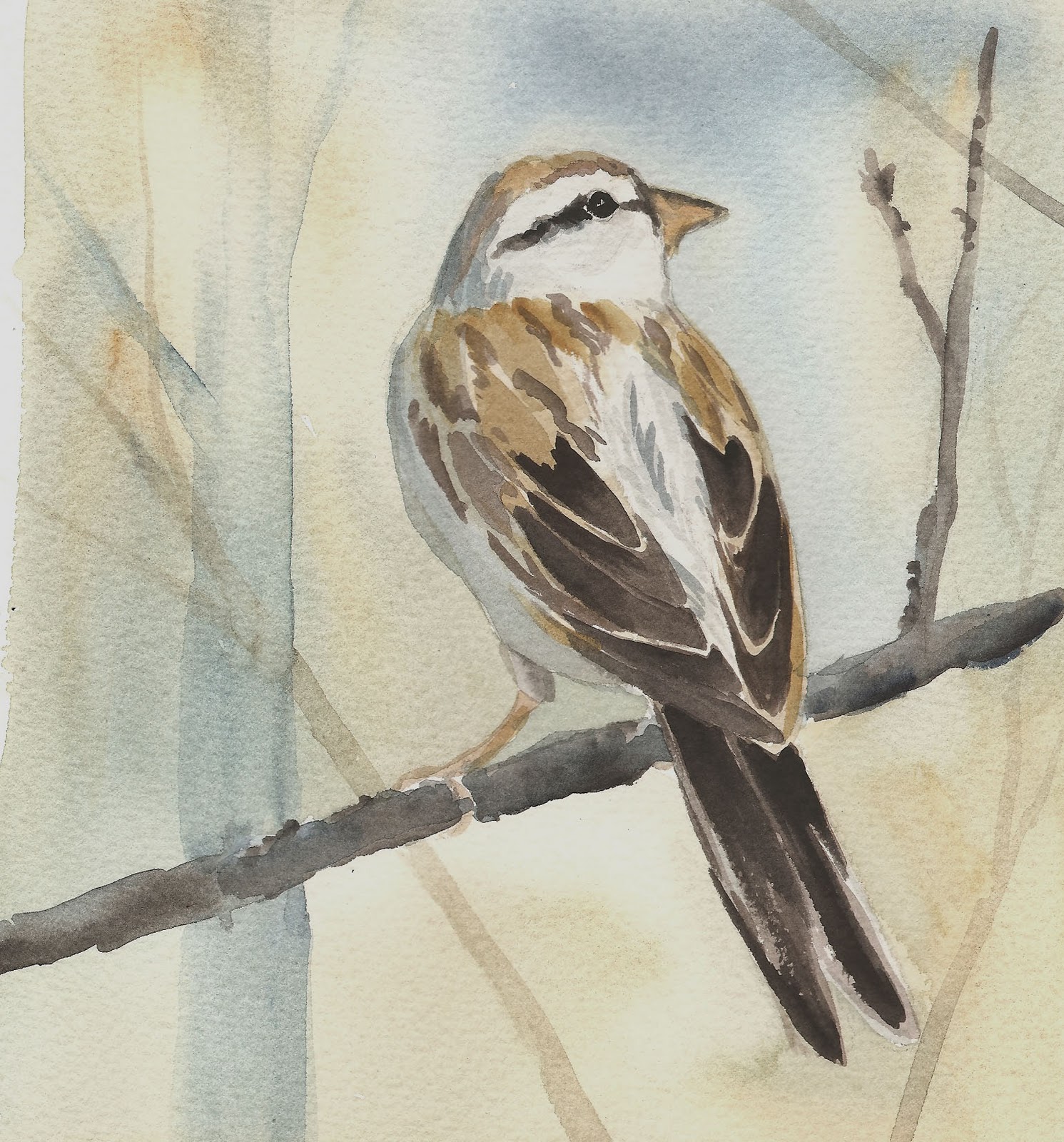 Art of the Day: Eye on the Sparrow