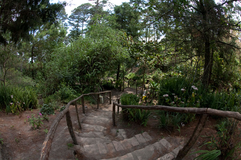 El Salvador: Mi País: El boquerón