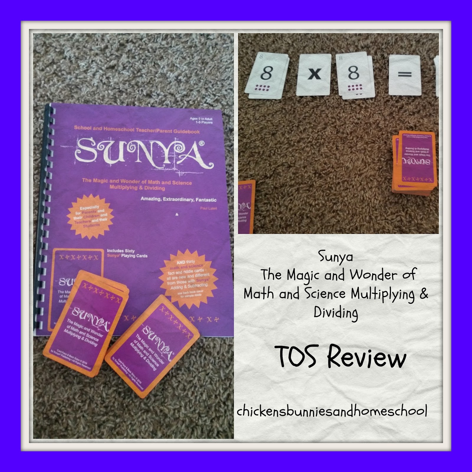 Sunya - The Magic and Wonder of Math and Science Multiplying & Dividing ...