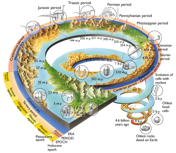 Earth's Timeline ~Timeline of Evolutionary History of Life~