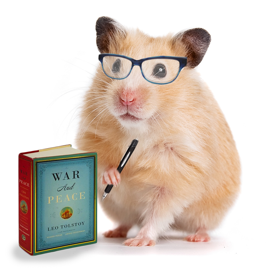 Design Thinking – Hamster Cage – Freshmen