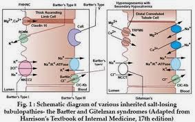 Medical Treatment Pictures-for Better Understanding: Gitelman Syndrome