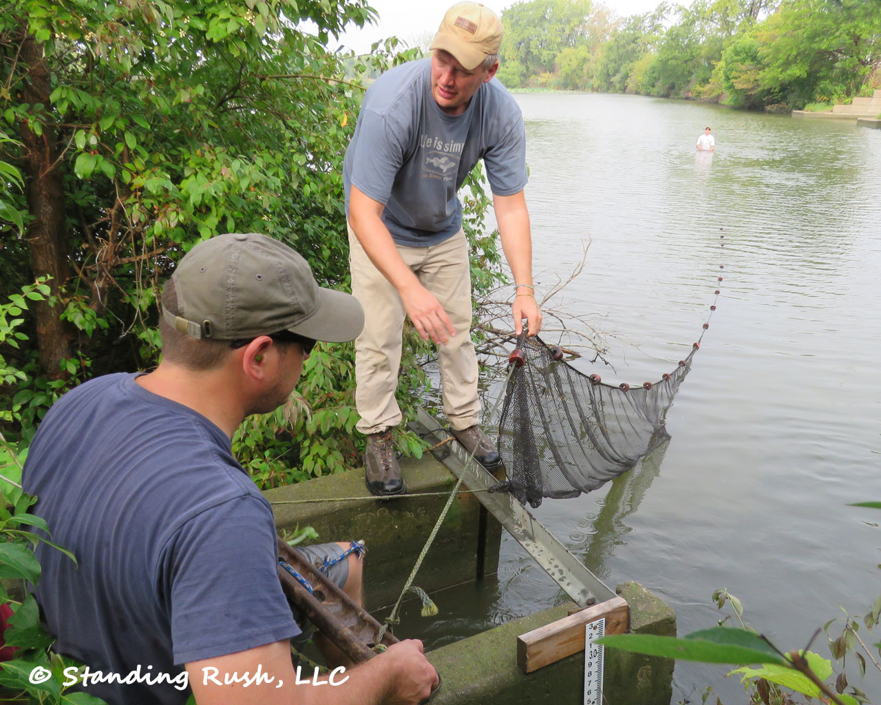 Moment in the Marsh: Pre-Construction Fish Sampling