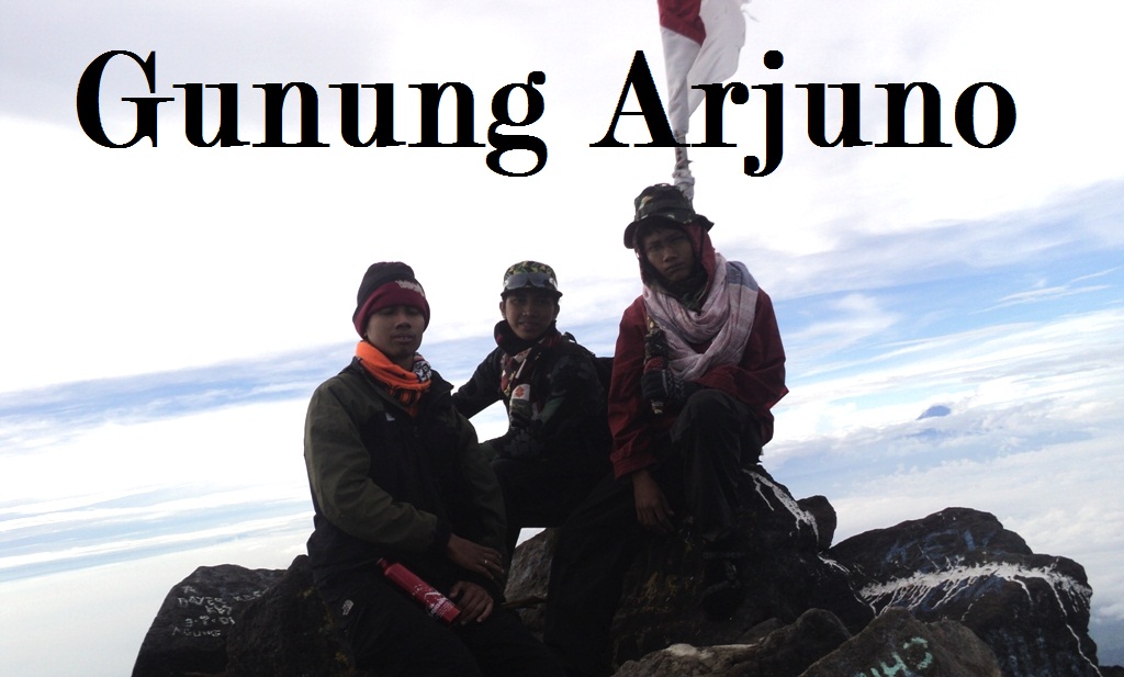 Puncak Gunung Arjuno Jawa Timur - Indonesia 7 - Danytrikusuma