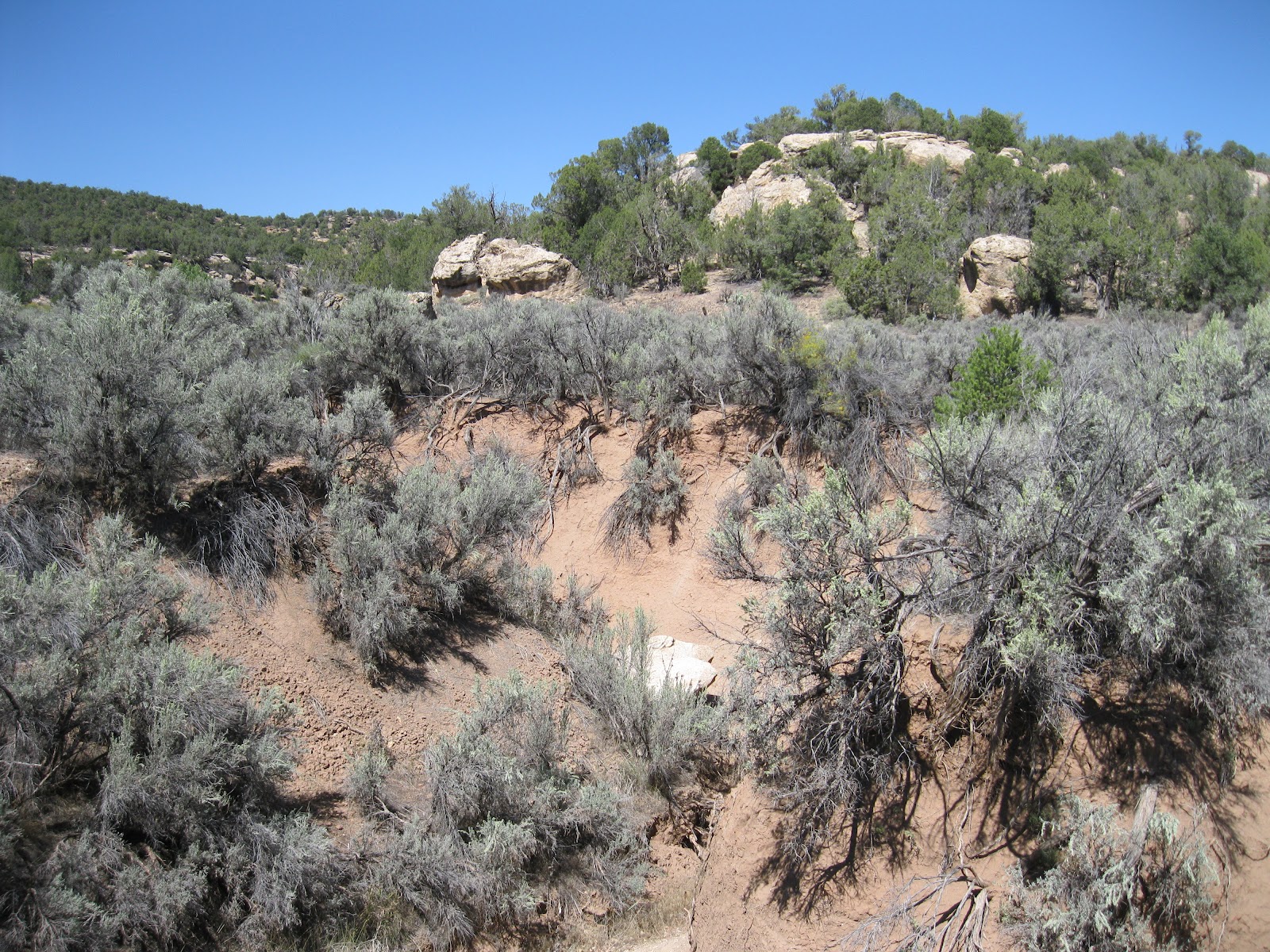 Four Corners Hikes-Canyons of the Ancients: Hovenweep Canyon near ...