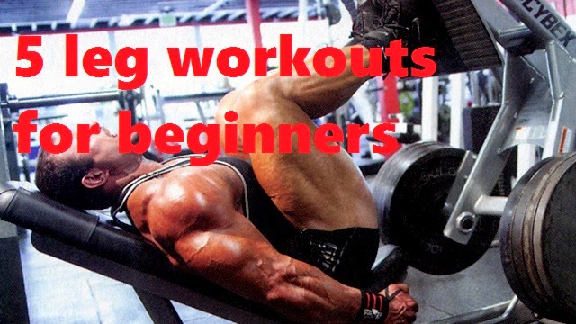 5 Best Leg Workouts for Beginners - Body Building Craze