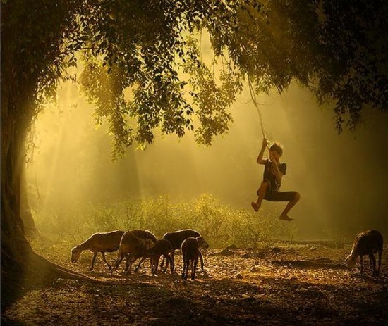 Mini Notlar: Mutluluk Resmi Happy Picture