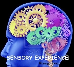 RISING HORIZONS: Proprioception:The Position Sense